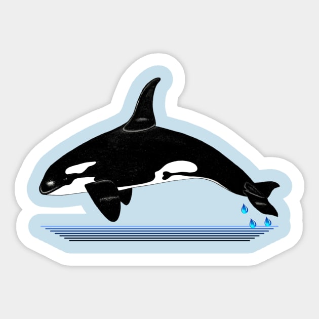 Orca Whale Playing - Orca Whale - Sticker | TeePublic