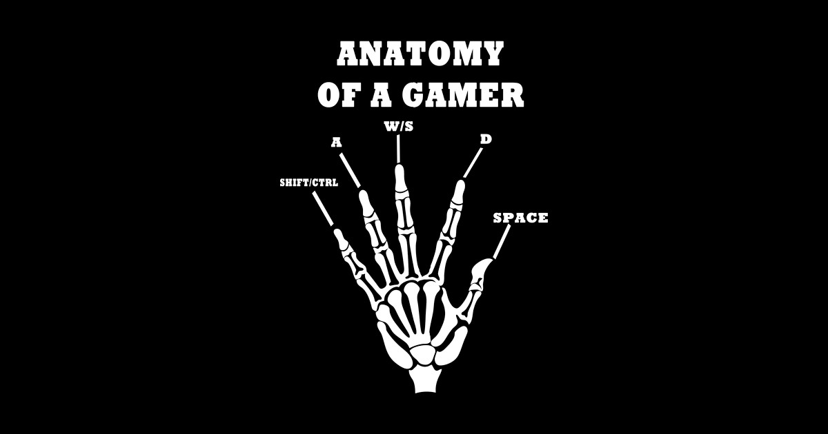 Anatomy Of A Gamer - Anatomy Of A Gamer - Sticker | TeePublic