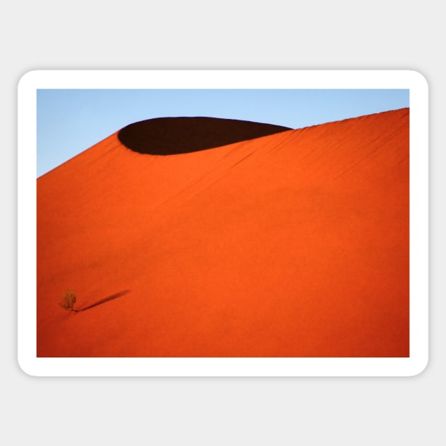 Sculptured dune, Namib Desert soon after sunrise - Desert - Sticker ...