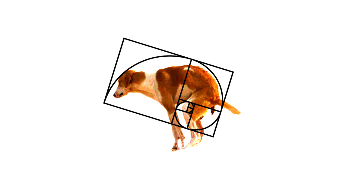 FIbonacci golden ratio dog - Dog - T-Shirt | TeePublic