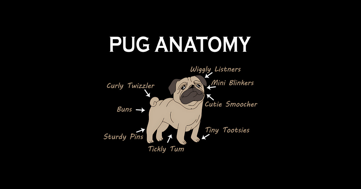 Pug - Pug Anatomy - Pug - Pug Anatomy - Posters and Art Prints | TeePublic