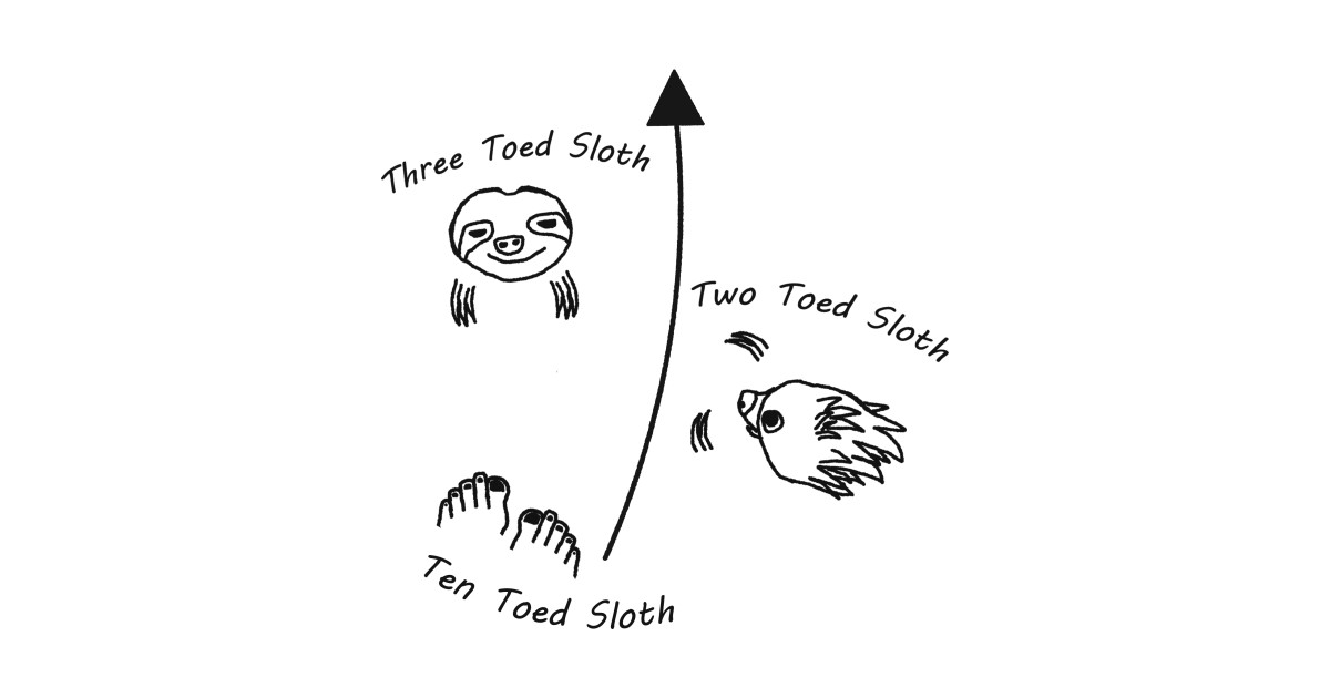 Ten Toed Sloth - Sloth - T-Shirt | TeePublic