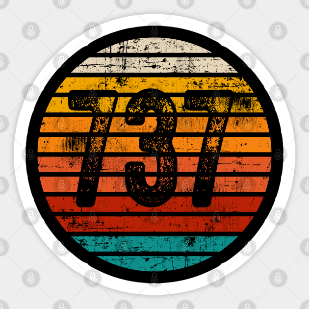Distressed Vintage Sunset 737 Area Code - 737 Area Code - Sticker ...