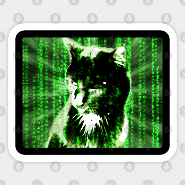 Matrix cat - Black Cat - Sticker | TeePublic