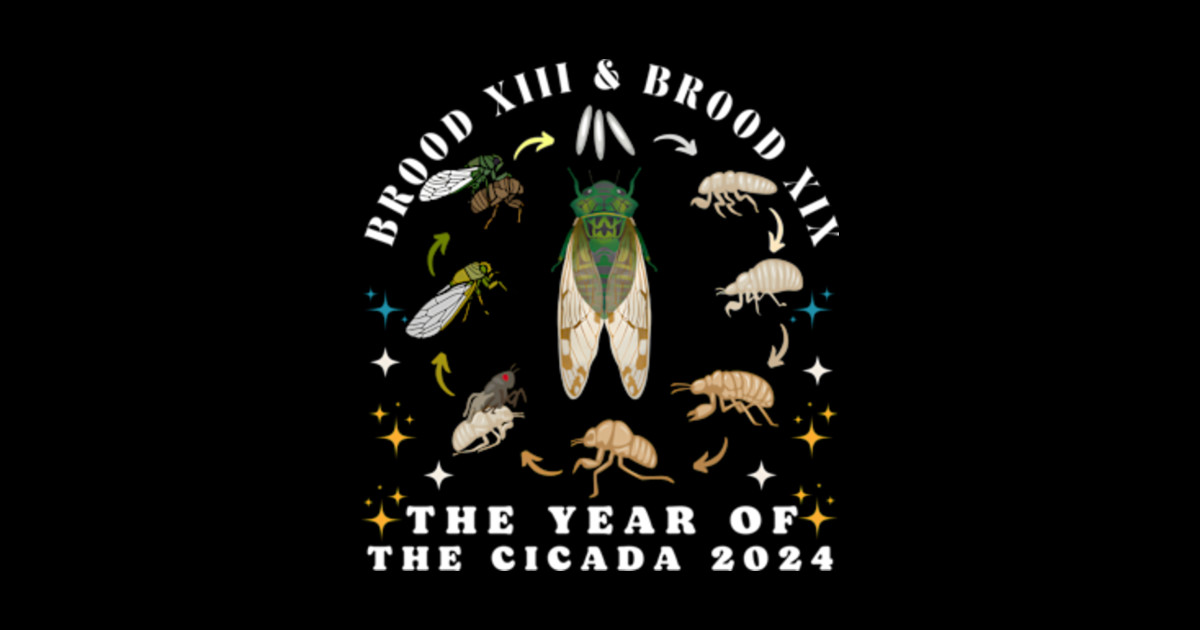 Cicada Tour 2024 Insect Bug Cicada Brood Xix And Brood Xiii - Cicada ...