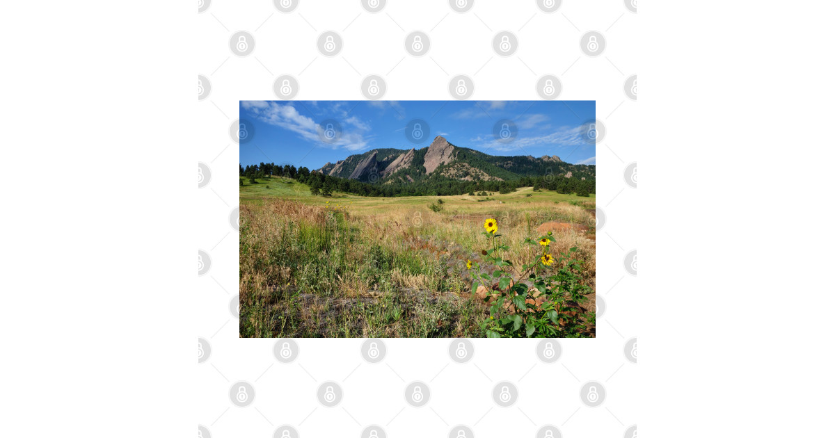 Boulder's Flatirons At Chautauqua Park - Sunflowers - T-Shirt | TeePublic