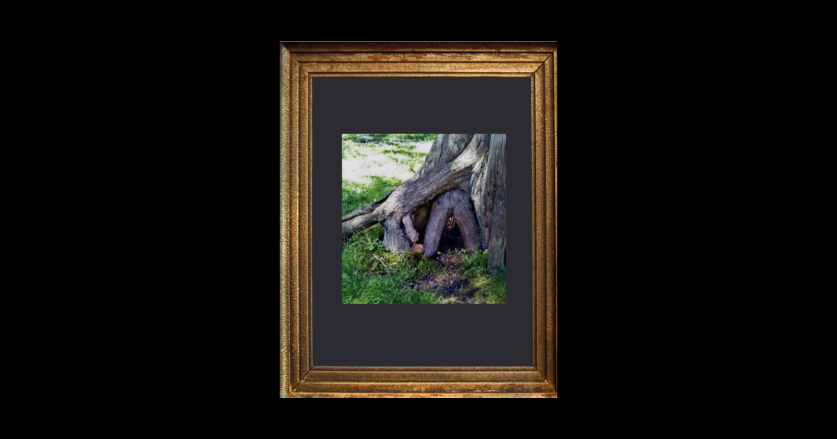 Dirty Tree Series Photograph Natural Art - Tree - Sticker | TeePublic