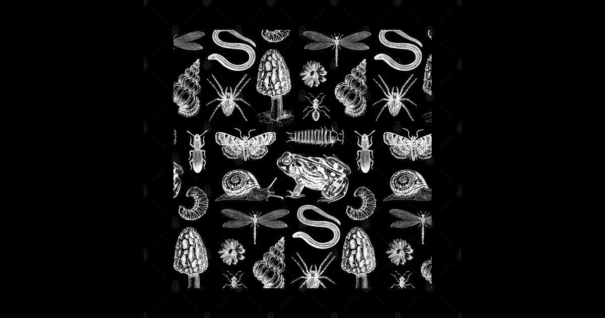 Goblincore Aesthetic with our Vintage Biology : Discover Frog, Mushroom ...