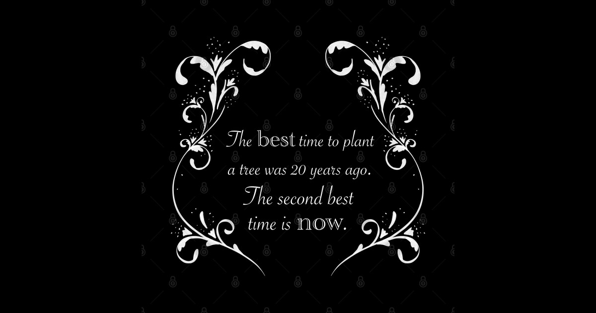 The best time to plant a tree was 20 years ago. The second best time is ...