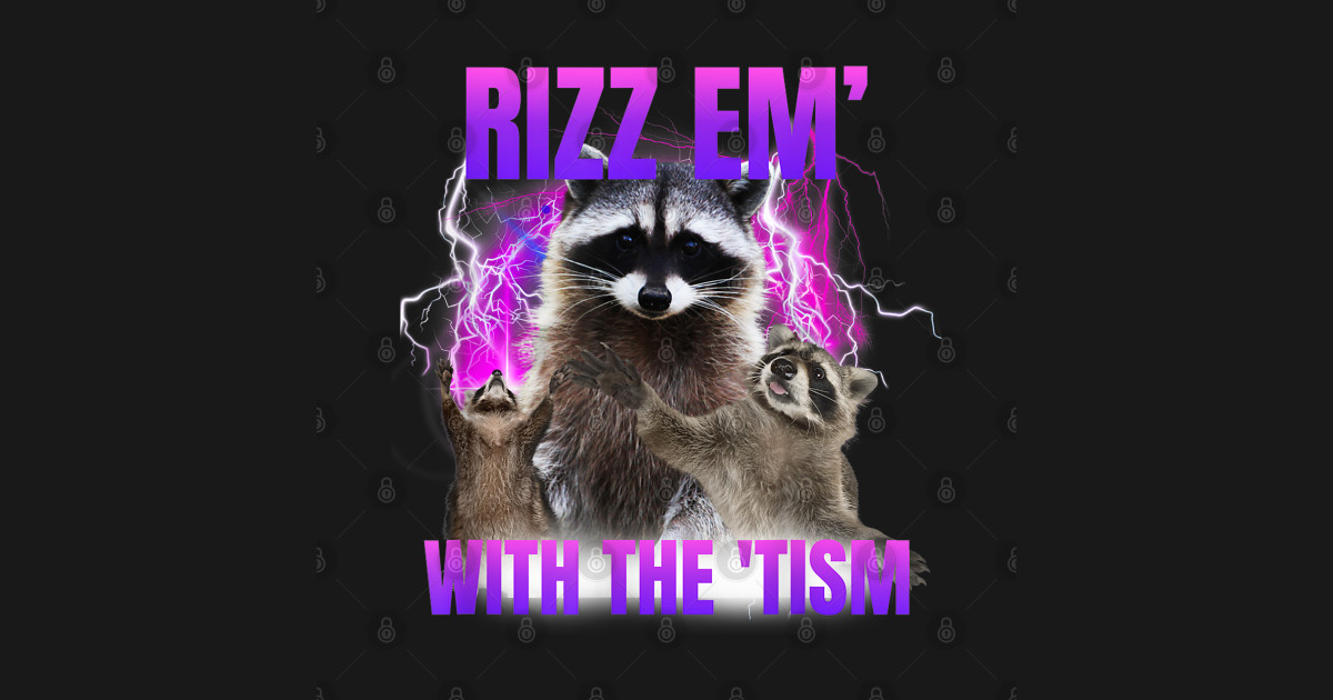 Autism Funny Rizz Em With The Tism Meme Autistic Raccoon - Autism - T ...