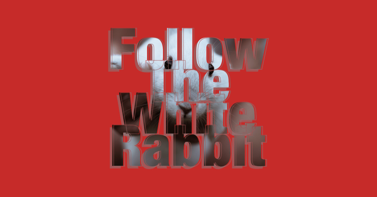 Follow The White Rabbit - Follow The White Rabbit - T-Shirt | TeePublic