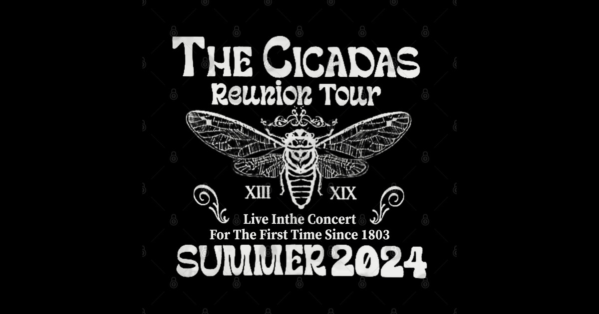 the cicadas reunion tour summer 2024 - The Cicadas Reunion Tour Summer ...