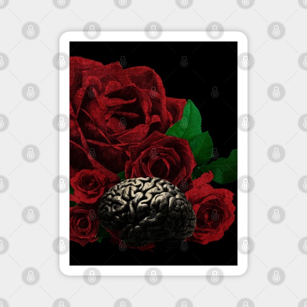Human anatomy and roses: brain - Human Anatomy - Magnet | TeePublic