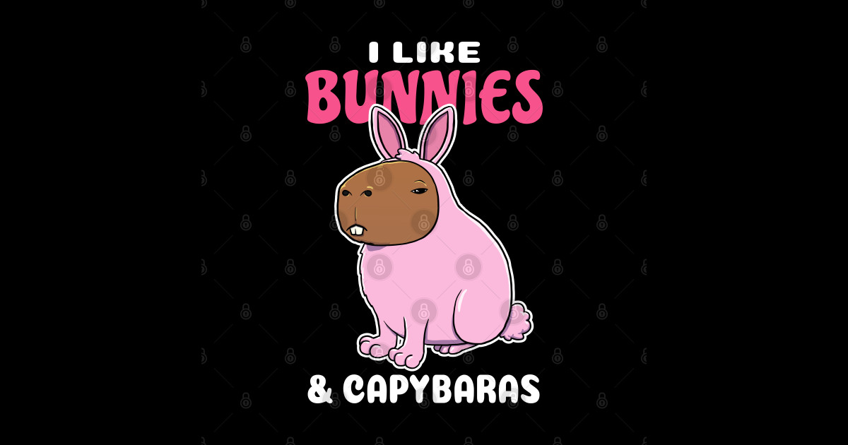 I Like Bunnies and Capybaras Cartoon - Bunnies - Posters and Art Prints ...