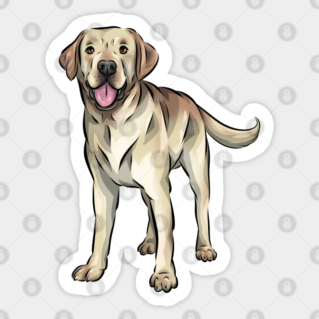 Cute Yellow Labrador Dog - Yellow Labrador - Sticker | TeePublic