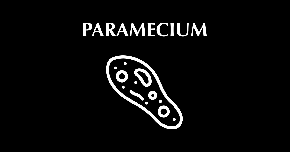 Paramecium unicellular organism - Paramecium Cell - Sticker | TeePublic