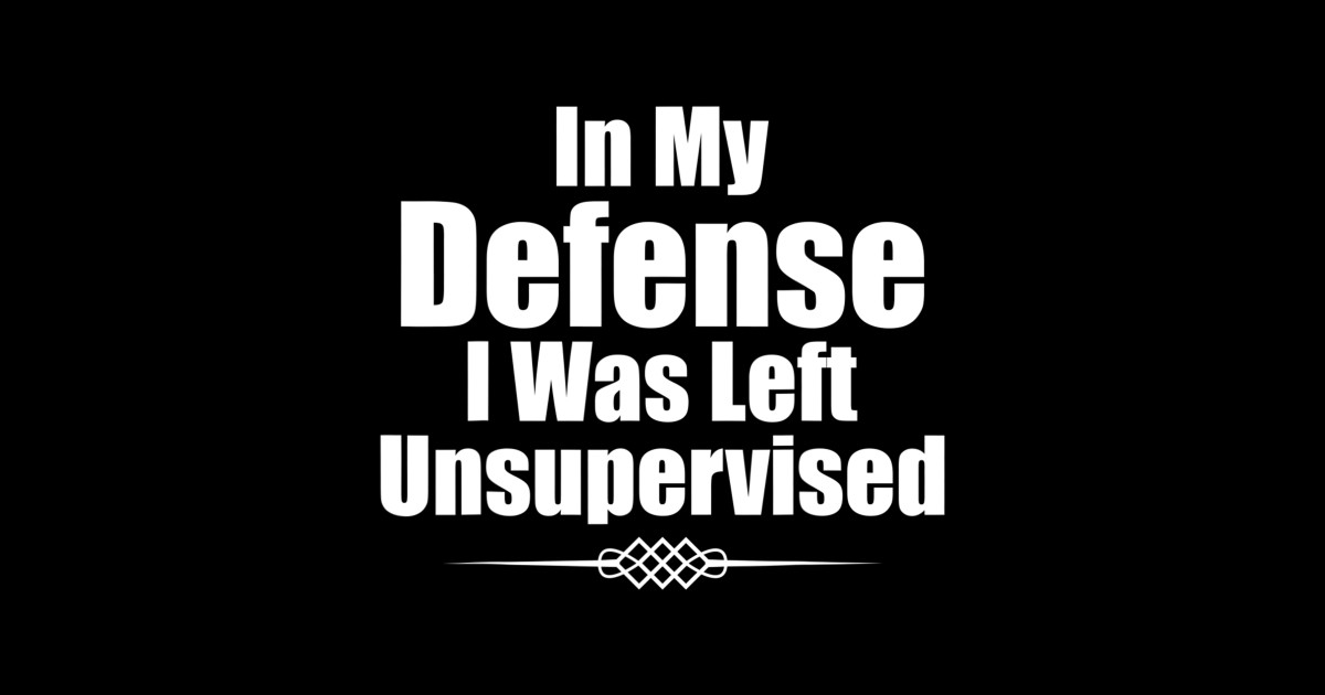 Funny In My Defense I Was Left Unsupervised Funny In My Defense I Was
