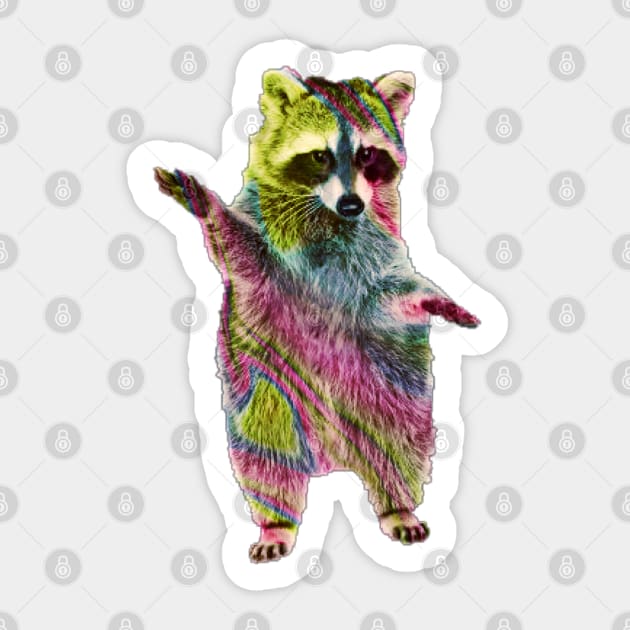 Rainbow Raccoon 4 - Raccoon - Sticker | TeePublic