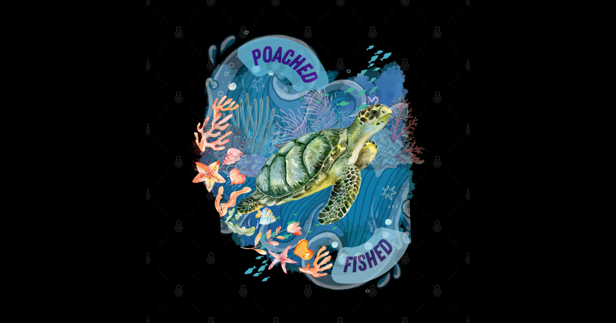 Poached - Turtle - Sticker | TeePublic