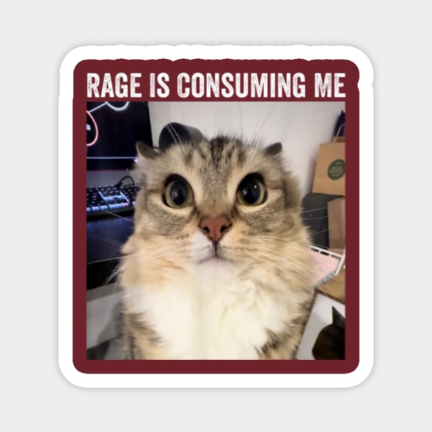Rage Is Consuming Me Silly Staring Cat & Meme Cute - Rage Is Consuming ...