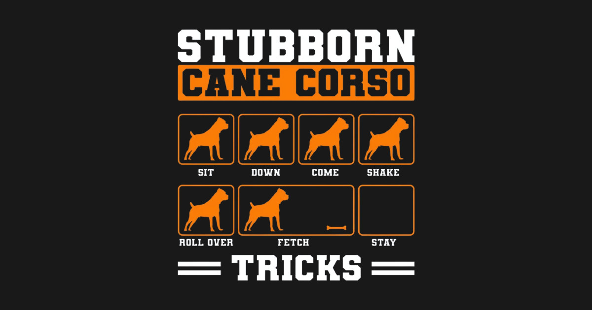 Stubborn Cane Corso Sit Down Come Shake Roll Over Fetch - Cane Corso ...