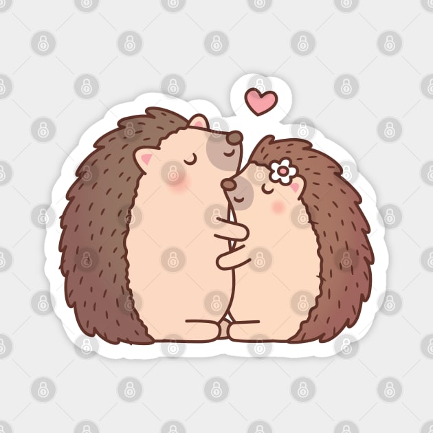 how to hedgehogs make love