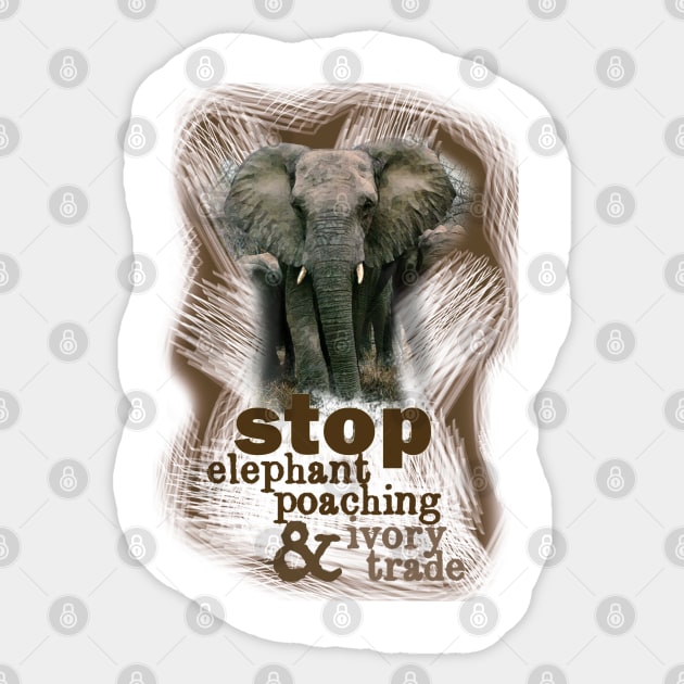 stop elephant stop