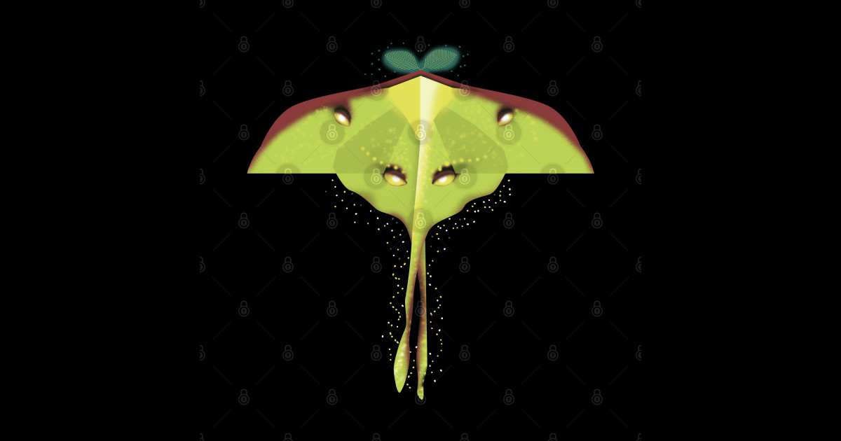 Dancing Moth - Moth - Sticker | TeePublic