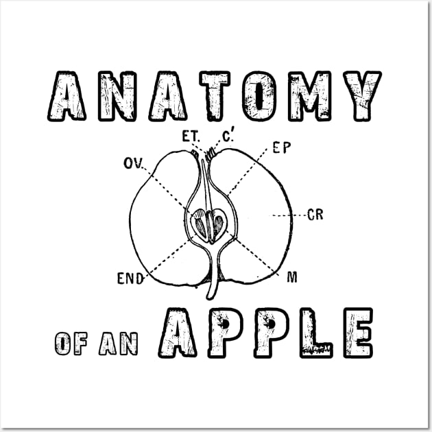 Anatomy Of An Apple - Anatomy Of A - Posters and Art Prints | TeePublic