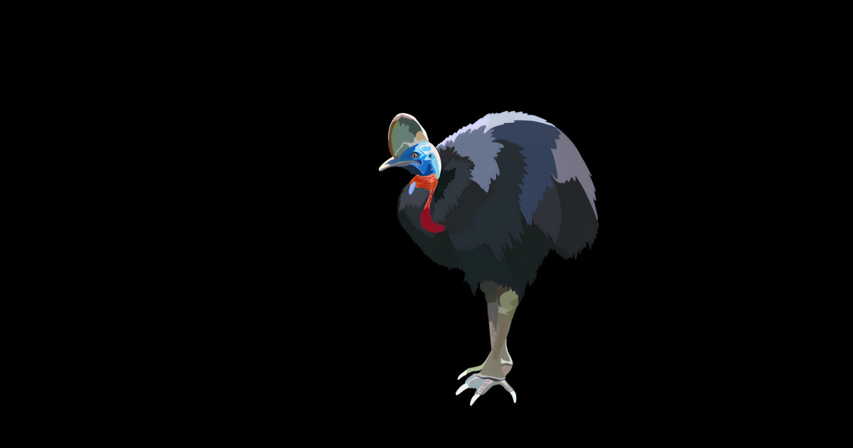 C is for Cassowary - Cassowary - Sticker | TeePublic