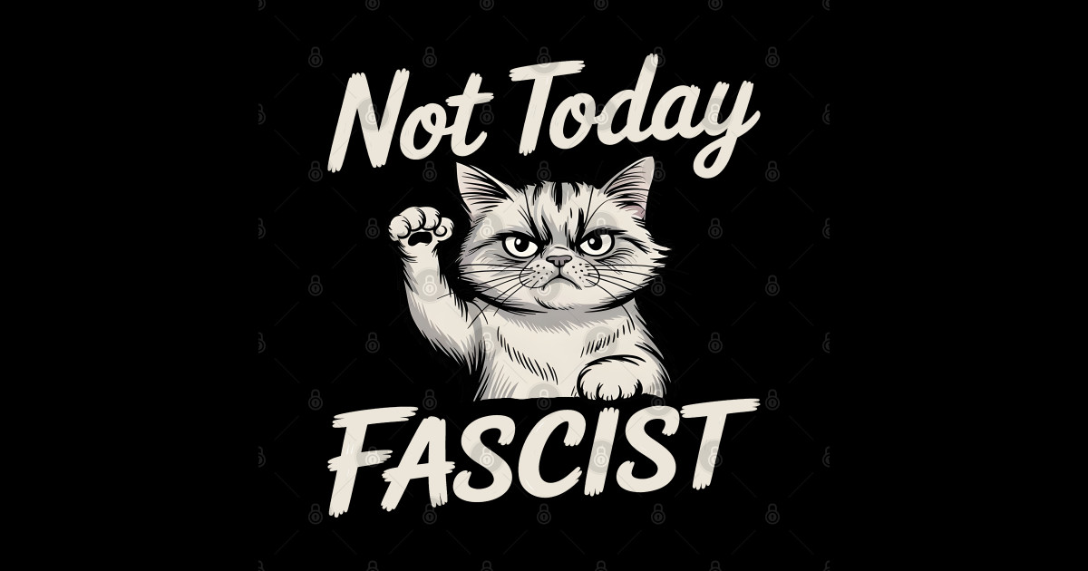 Not Today Fascist Funny cat Meme Smash Fascism - Anti Fascism - Sticker ...