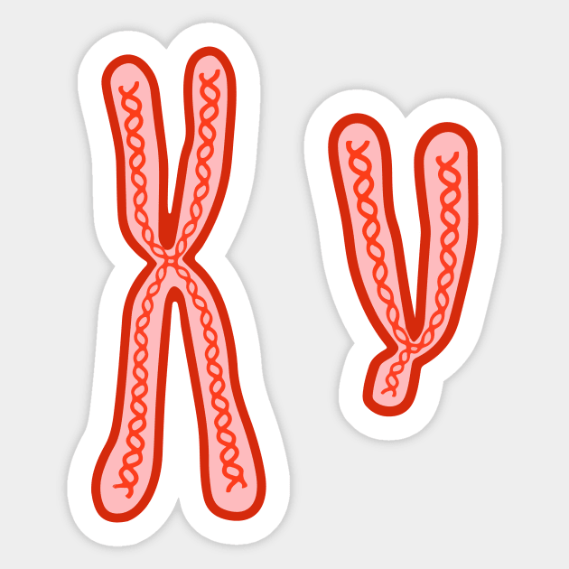 X and Y Chromosomes - Biochemistry - Sticker | TeePublic