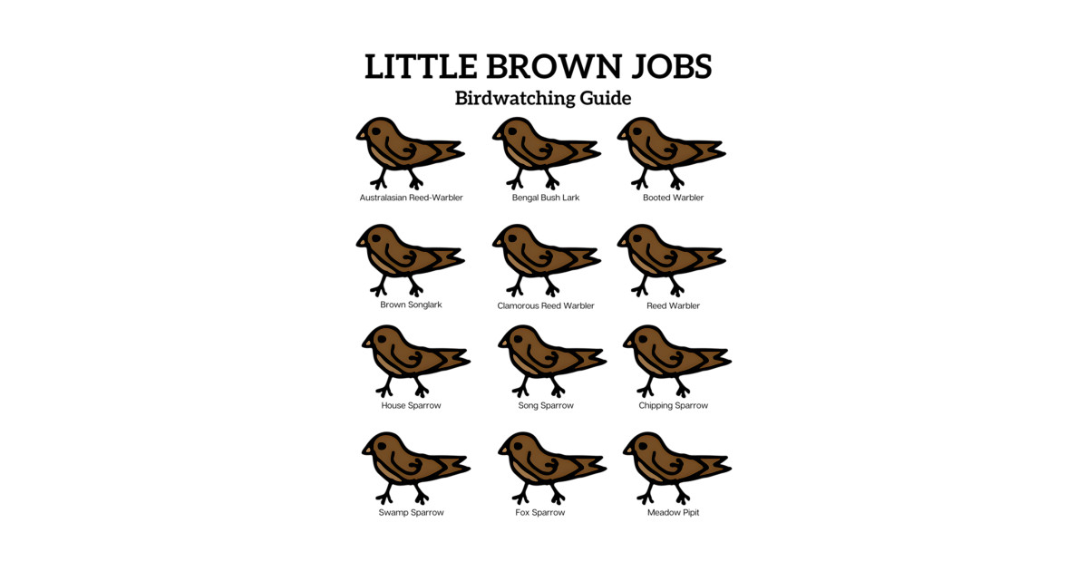 Little Brown Jobs funny birdwatching meme - Little Brown Jobs - T-Shirt ...