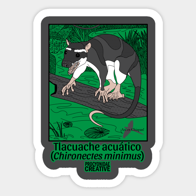 Tlacuache acuatico - Yapok - Sticker | TeePublic