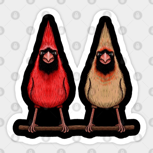 Red Cardinal cute birds - Red Cardinal Red Cardinal Lover Bird ...