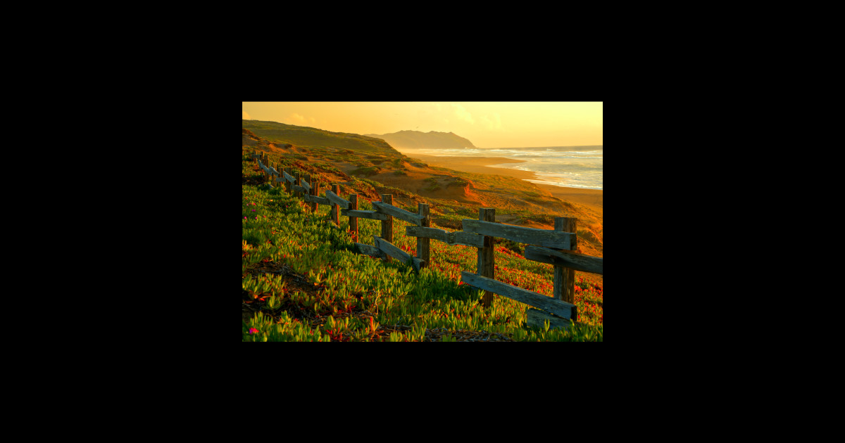 Point Reyes Golden Glow - Point Reyes - Sticker | TeePublic
