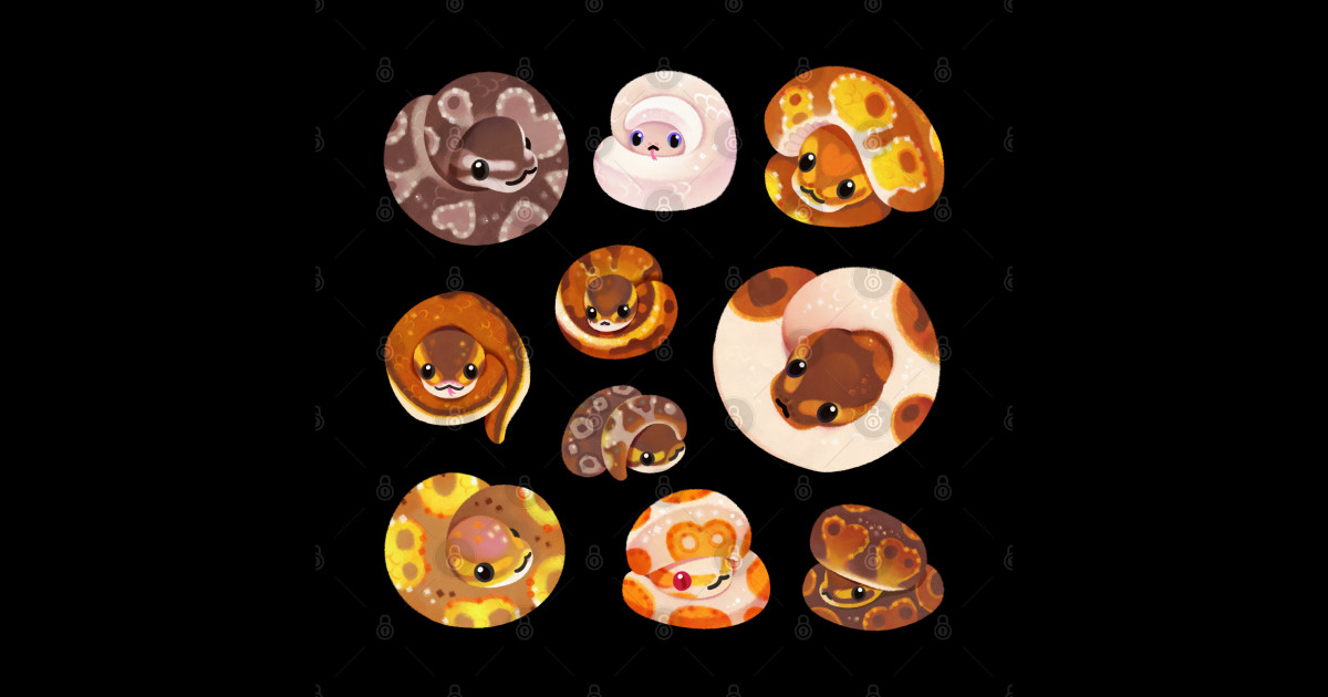 Shy ball pythons - Ball Python - Sticker | TeePublic