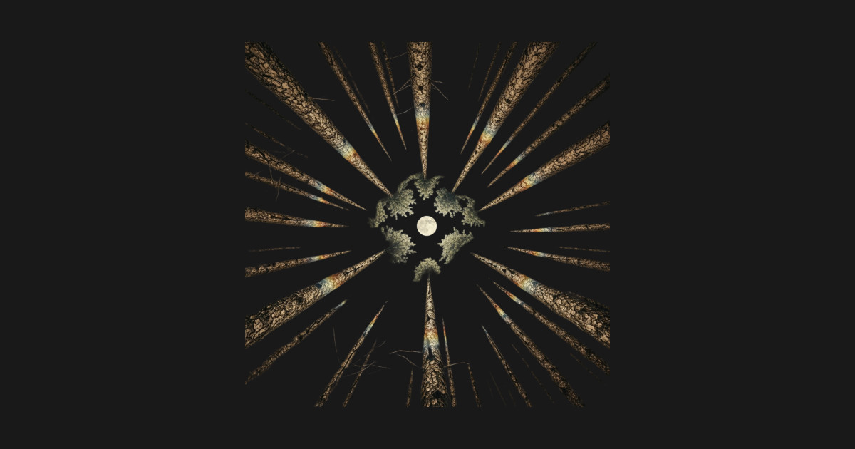 Moonlit Forest Canopy - Moonlit Forest Canopy - T-Shirt | TeePublic
