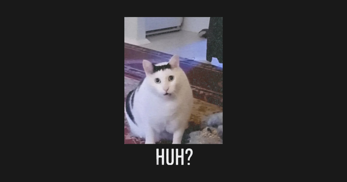 Confused Cat Huh Meme Fat Cat Huh Tiktok - Huh Cat - T-Shirt | TeePublic