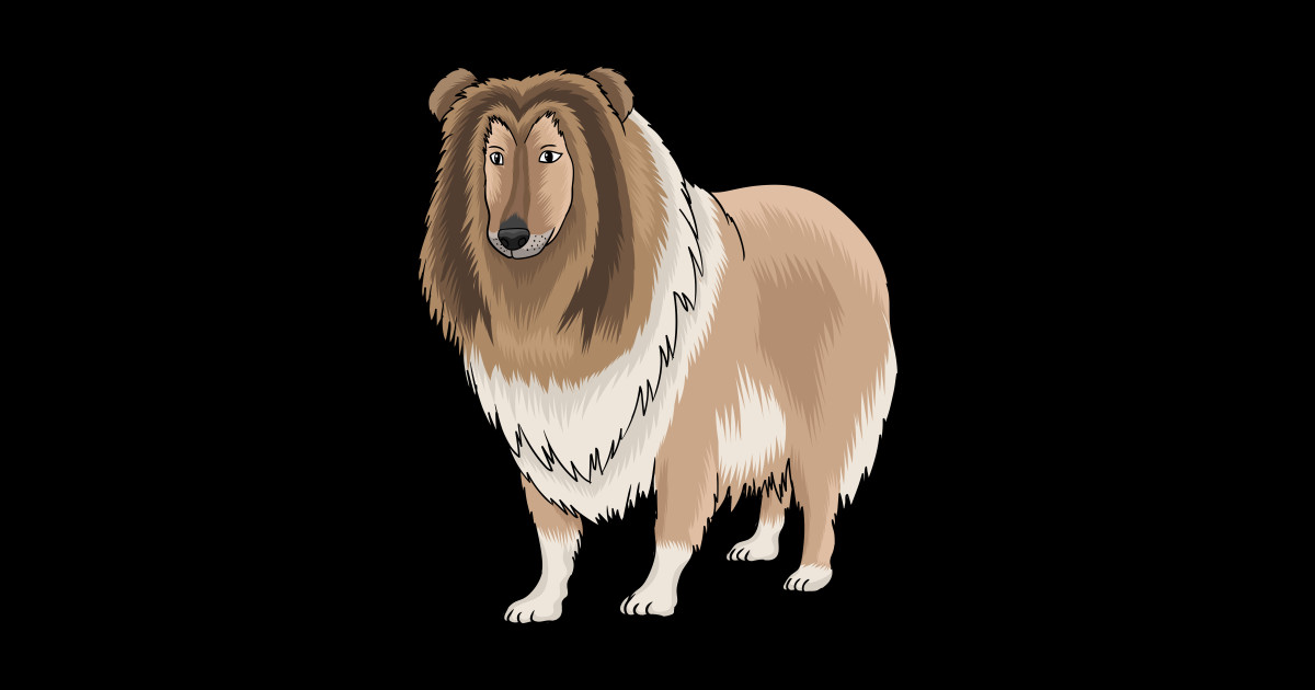 Rough collie dog cartoon illustration - Rough Collie Dog Cartoon ...