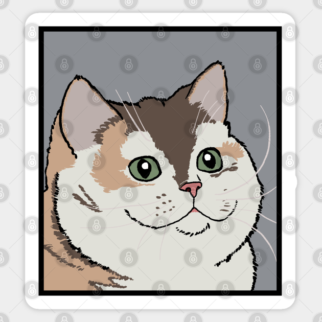 Excited Cat Meme - Heavy Breathing Cat - Sticker | TeePublic