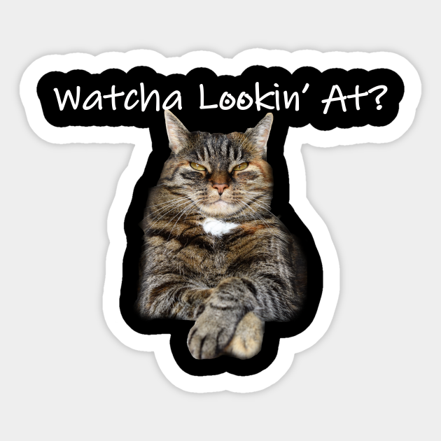 Whatcha Lookin' At Cat Design - Funny Cat Quotes Design - Sticker ...