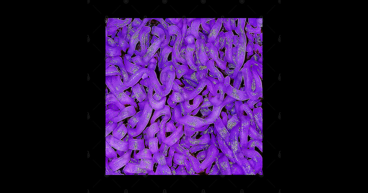 Purple Ramen - Ramen Noodles - Sticker | TeePublic