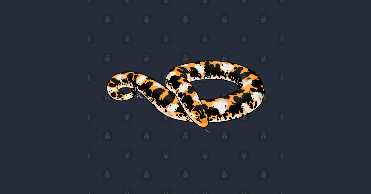 Calico Kenyan Sand Boa - Kenyan Sand Boa - T-Shirt | TeePublic