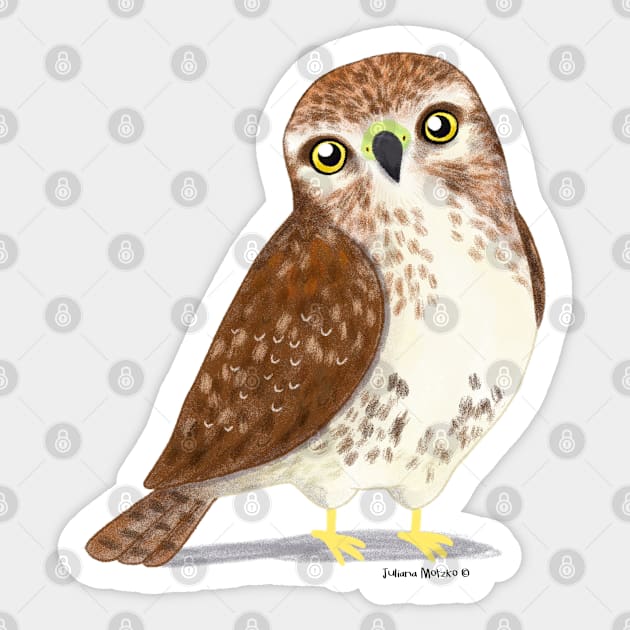 Red Tailed Hawk - Red Tailed Hawk - Sticker | TeePublic