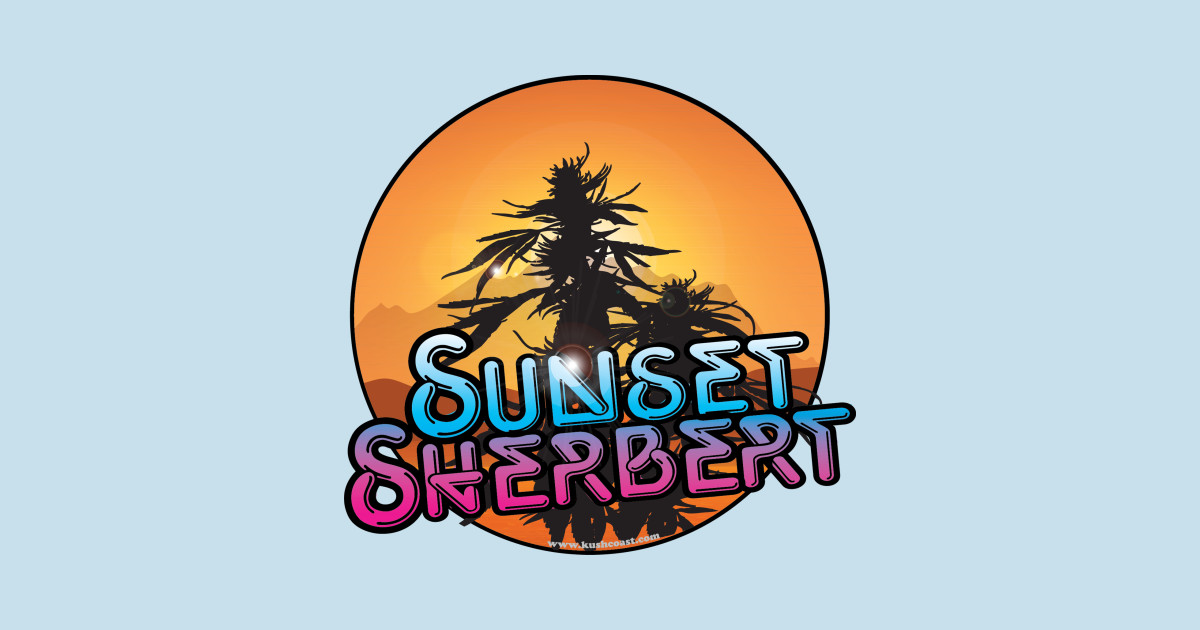 Sunset Sherbert Cannabis Strain Art - Sunset Sherbert Cannabis Strain ...