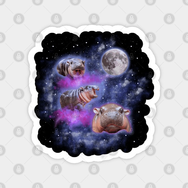 Moo Deng Three Moo Deng Moon Funny Hippo - Three Moo Deng Moon - Magnet ...