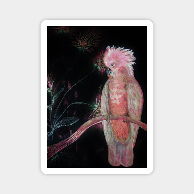PINK COCKATOO PARROT TROPICAL EXOTIC ABSTRACT PALM POSTER PRINT ...