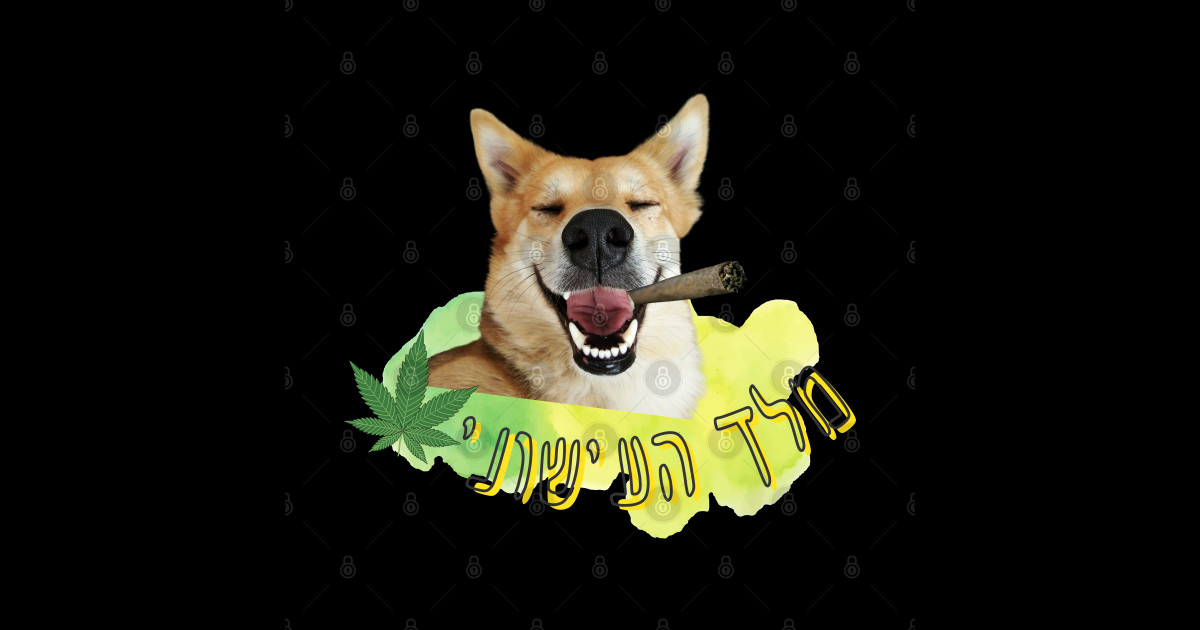 King of Smokers - Hebrew - Dog - Hebrew - Sticker | TeePublic