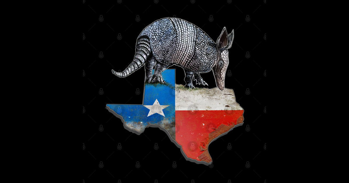 Armadillo Texas State Flag Map - Armadillo - Pin | TeePublic